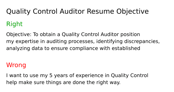 Top 17 Quality Control Auditor Resume Objective Examples