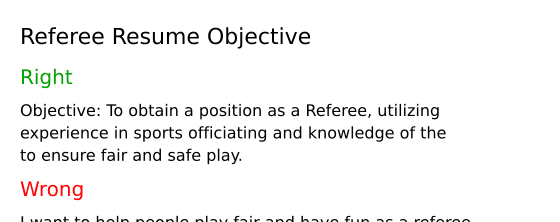 Top 17 Referee Resume Objective Examples | ResumeCat