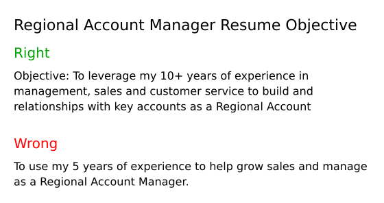 Top 18 Regional Account Manager Resume Objective Examples