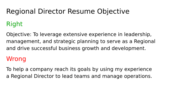 Top 17 Regional Director Resume Objective Examples