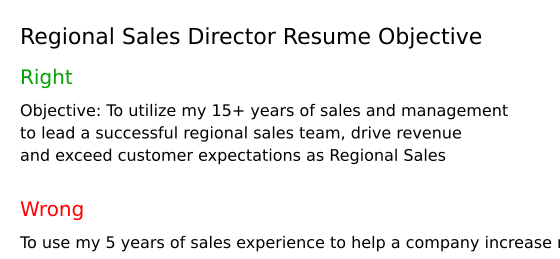 Top 17 Regional Sales Director Resume Objective Examples