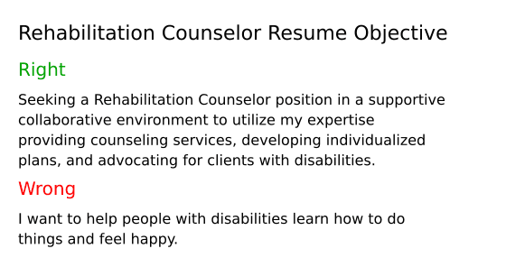 Top 18 Rehabilitation Counselor Resume Objective Examples