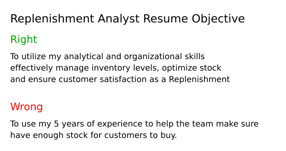Top 16 Replenishment Analyst Resume Objective Examples