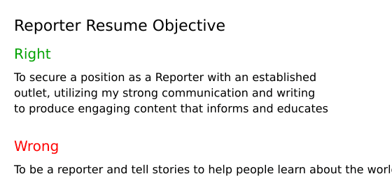 Top 16 Reporter Resume Objective Examples | ResumeCat