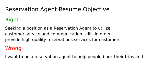 Top 16 Reservation Agent Resume Objective Examples