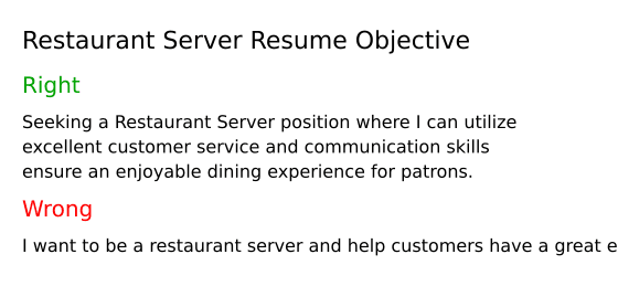 Top 16 Restaurant Server Resume Objective Examples