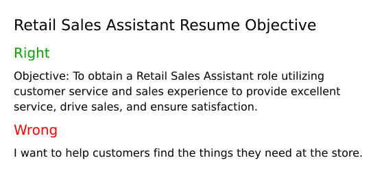 Top 16 Retail Sales Assistant Resume Objective Examples