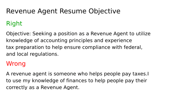 Top 16 Revenue Agent Resume Objective Examples | ResumeCat