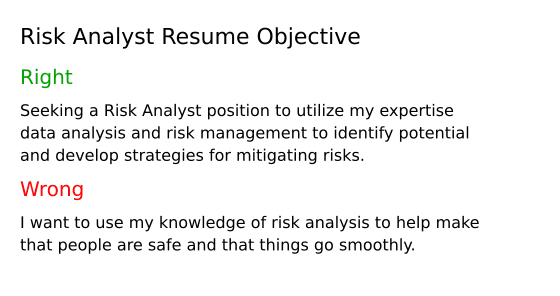 Top 16 Risk Analyst Resume Objective Examples | ResumeCat