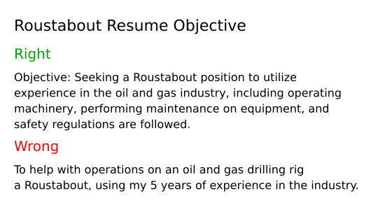 Top 17 Roustabout Resume Objective Examples | ResumeCat