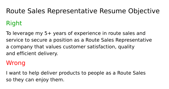 Top 17 Route Sales Representative Resume Objective Examples