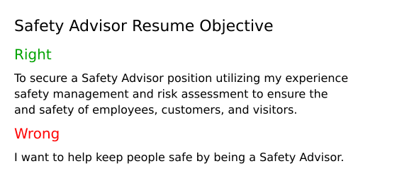 Top 17 Safety Advisor Resume Objective Examples | ResumeCat