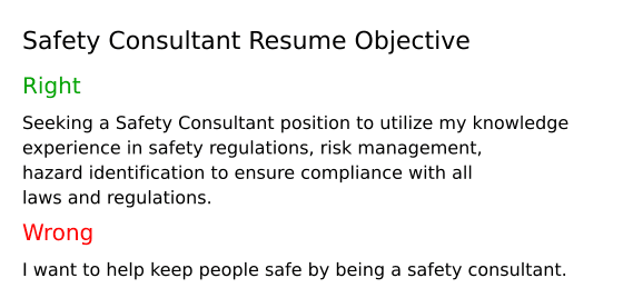 Top 16 Safety Consultant Resume Objective Examples