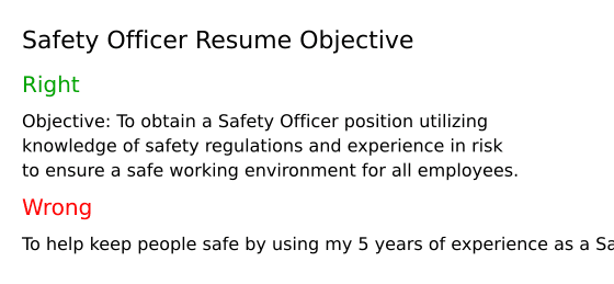 Top 16 Safety Officer Resume Objective Examples | ResumeCat