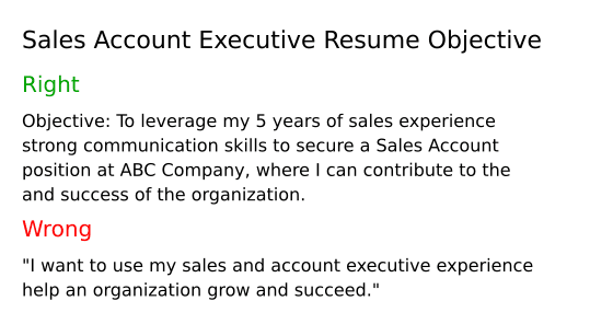 Top 18 Sales Account Executive Resume Objective Examples