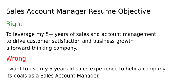 Top 17 Sales Account Manager Resume Objective Examples