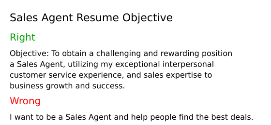Top 16 Sales Agent Resume Objective Examples | ResumeCat