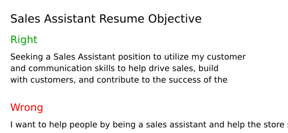 Top 16 Sales Assistant Resume Objective Examples | ResumeCat