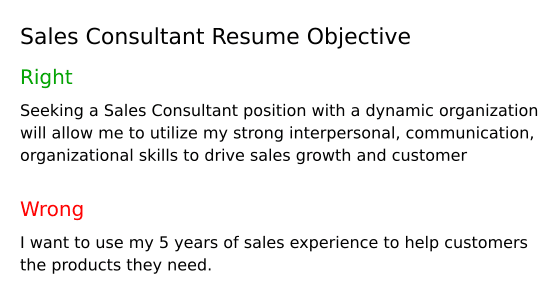 Top 16 Sales Consultant Resume Objective Examples