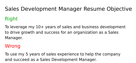 Top 17 Sales Development Manager Resume Objective Examples