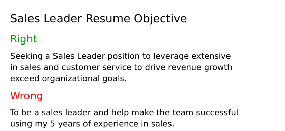 Top 17 Sales Leader Resume Objective Examples | ResumeCat