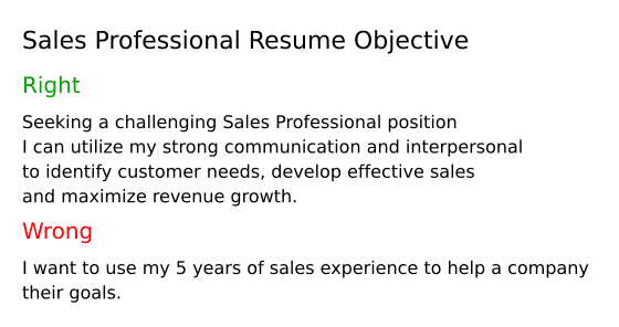Top 18 Sales Professional Resume Objective Examples