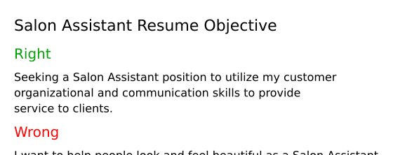 Top 18 Salon Assistant Resume Objective Examples | ResumeCat
