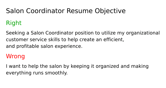 Top 18 Salon Coordinator Resume Objective Examples