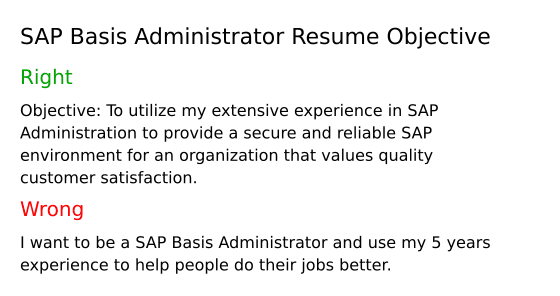 Top 18 Sap Basis Administrator Resume Objective Examples 6438