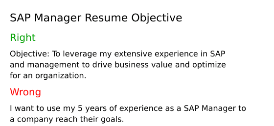 Top 16 SAP Manager Resume Objective Examples | ResumeCat