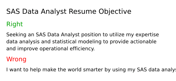 Top 16 Sas Data Analyst Resume Objective Examples