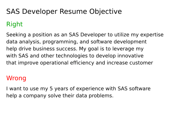 Top 17 SAS Developer Resume Objective Examples | ResumeCat