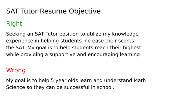 Top 18 SAT Tutor Resume Objective Examples | ResumeCat