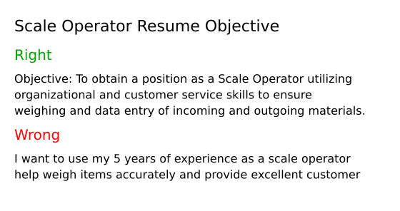Top 18 Scale Operator Resume Objective Examples | ResumeCat