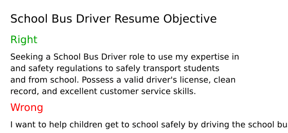 Top 18 School Bus Driver Resume Objective Examples