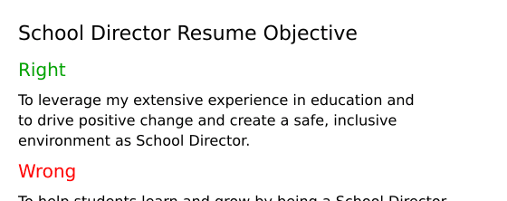 Top 18 School Director Resume Objective Examples | ResumeCat