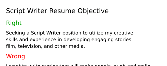 Top 16 Script Writer Resume Objective Examples | ResumeCat