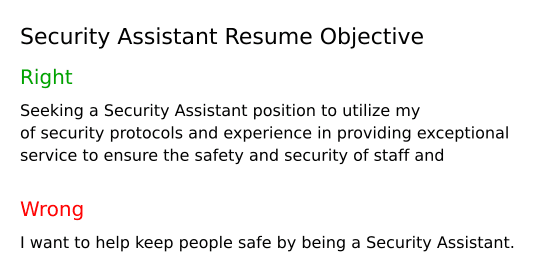 Top 17 Security Assistant Resume Objective Examples