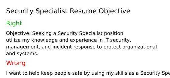 Top 16 Security Specialist Resume Objective Examples