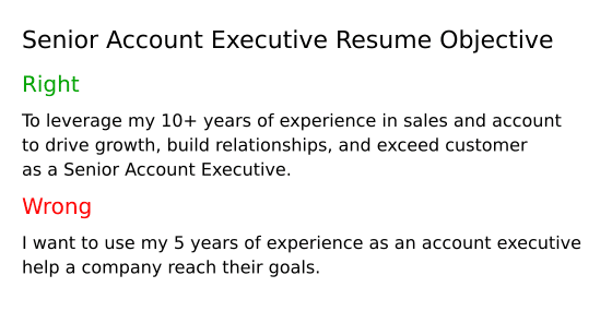 Top 17 Senior Account Executive Resume Objective Examples