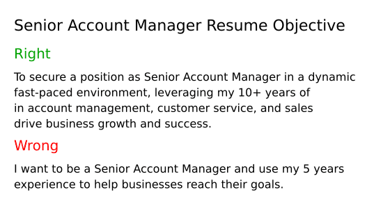 Top 18 Senior Account Manager Resume Objective Examples