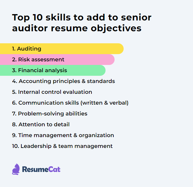 Top 16 Senior Auditor Resume Objective Examples | ResumeCat