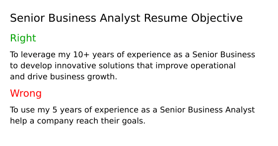 Top 18 Senior Business Analyst Resume Objective Examples
