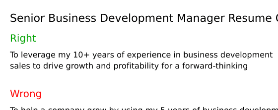 Top 16 Senior Business Development Manager Resume Objective Examples