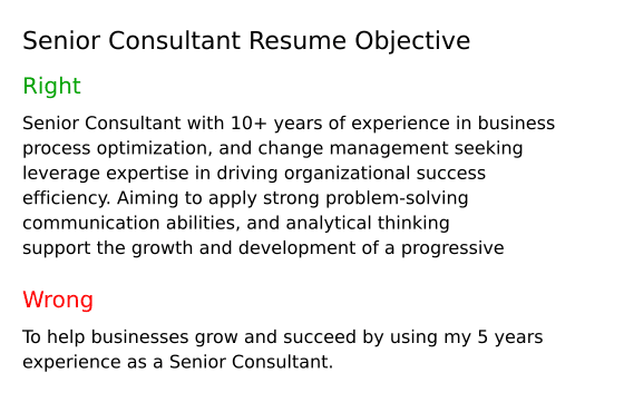 Top 18 Senior Consultant Resume Objective Examples