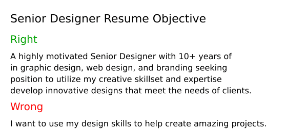 Top 16 Senior Designer Resume Objective Examples | ResumeCat