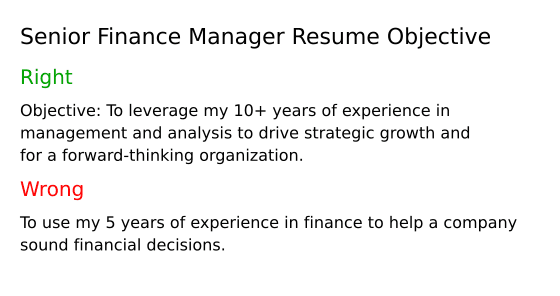 Top 16 Senior Finance Manager Resume Objective Examples