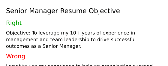Top 16 Senior Manager Resume Objective Examples | ResumeCat