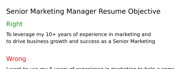 Top 17 Senior Marketing Manager Resume Objective Examples