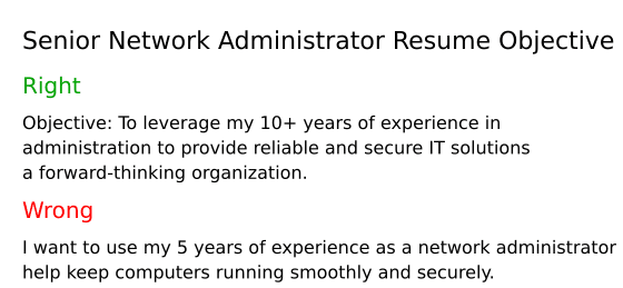 Top 17 Senior Network Administrator Resume Objective Examples